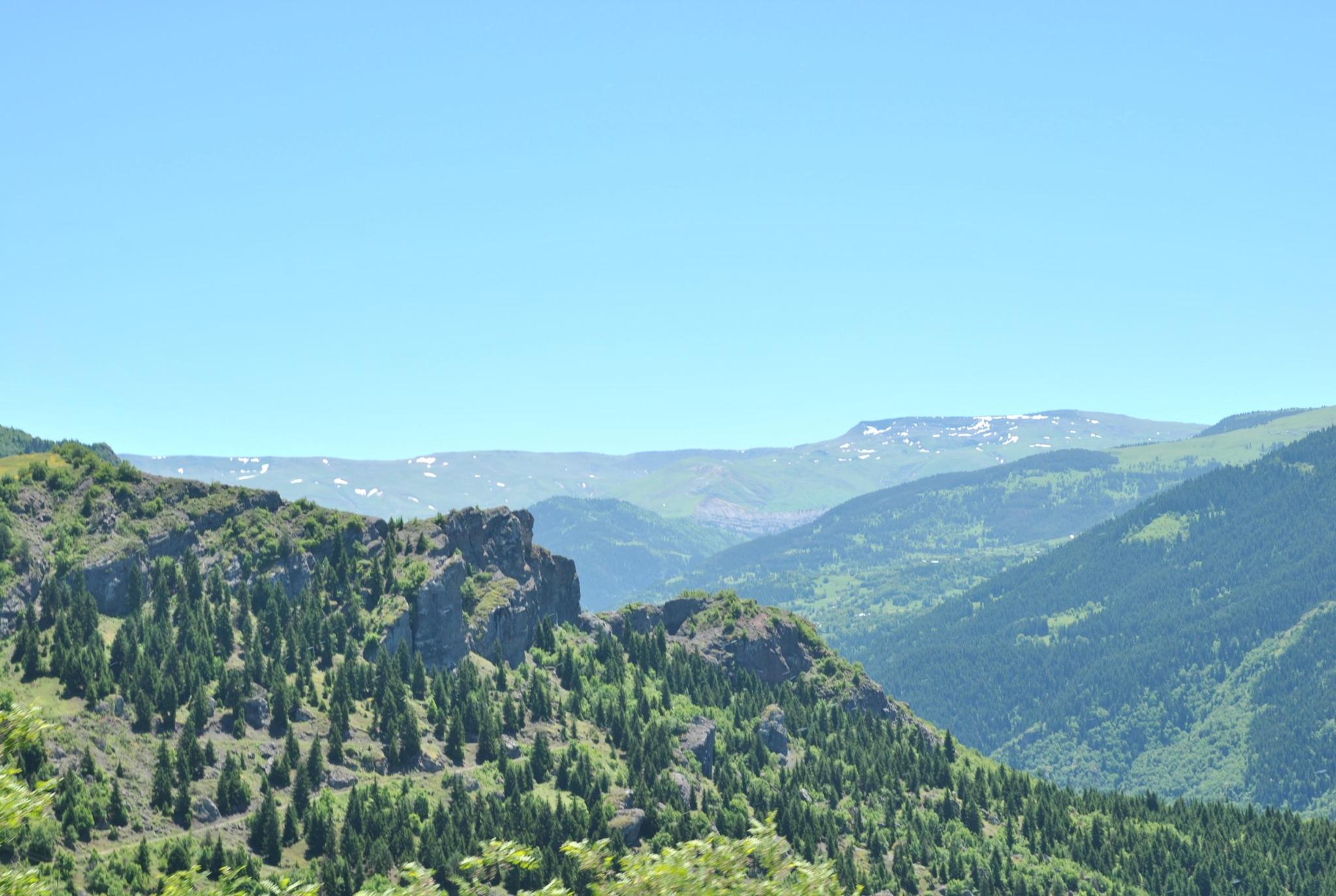 Ardanuç İlçesi: Tarihi ve Doğal Güzelliklerin Buluştuğu Yer : Ahalim
