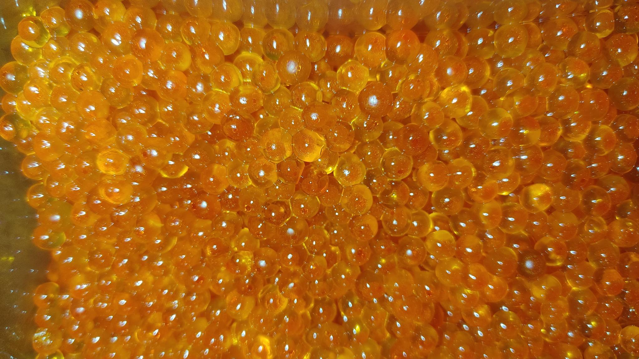 Karadeniz Somonu Havyarı: Besin Değeri, Elde Edimi, Muhafazası ve ...